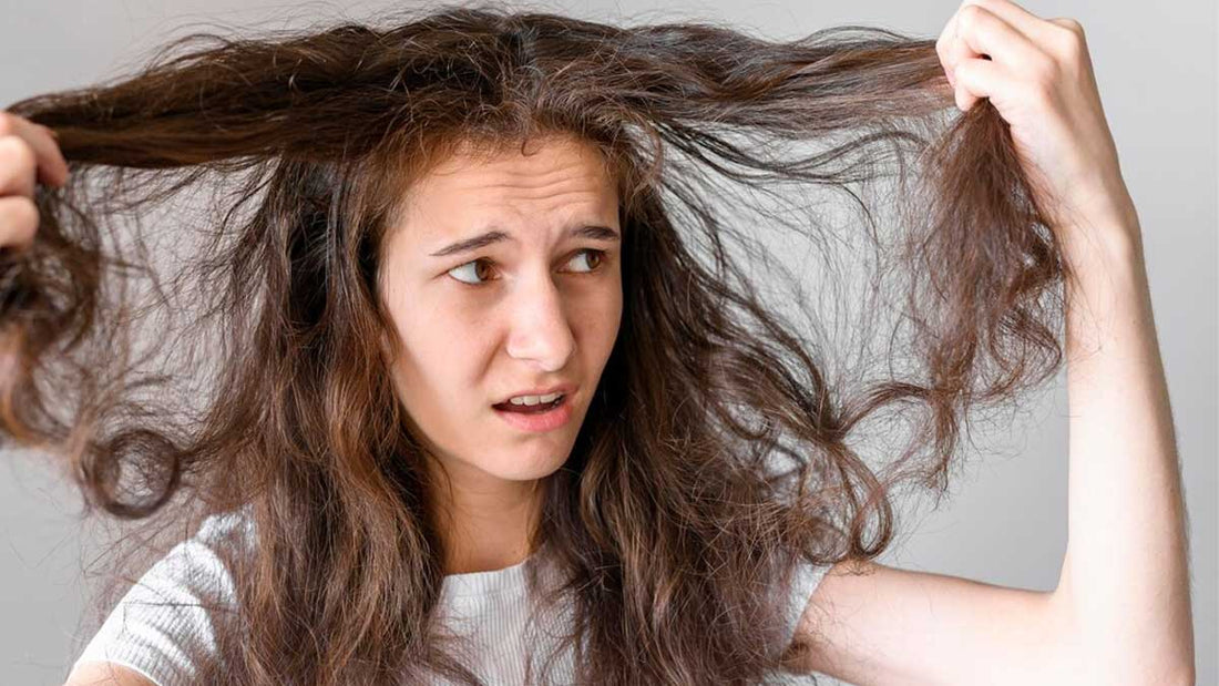 How Pollution Impacts Your Hair and How to Protect It – Skya